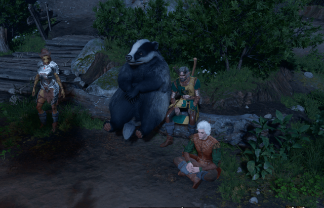 Druid (Circle of the Moon) Build Guide for Baldur's Gate 3 - Mobalytics