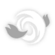 Topaz HSR - Guide, Skills, Builds, Teams & More - Mobalytics