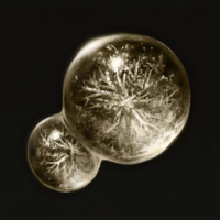 Elden Ring Moonveil Build Guide - Mobalytics