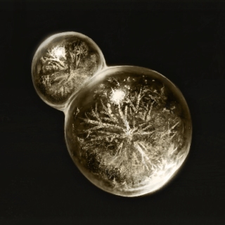 Elden Ring Madness Build Guide - Mobalytics