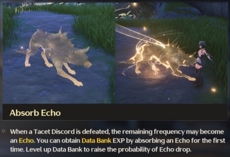 Wuthering Waves Echoes Complete Guide - Mobalytics