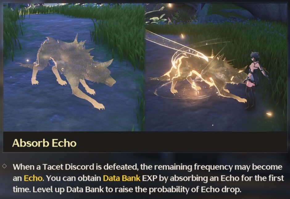 Wuthering Waves Echoes Complete Guide - Mobalytics