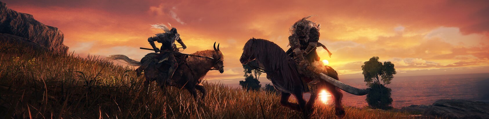 The Best Elden Ring Dexterity Build - Stats, Weapons, Skills & More ...