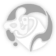 Gallagher HSR - Guide, Skills, Builds, Teams & More - Mobalytics
