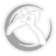 Lynx HSR - Guide, Skills, Builds, Teams & More - Mobalytics